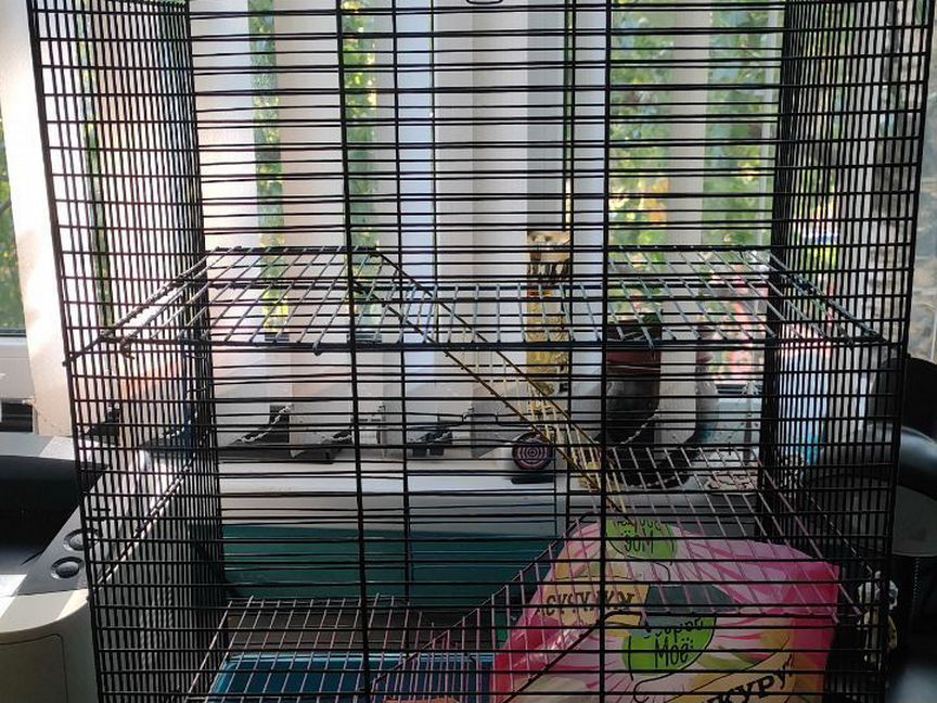 Клетка для грызунов