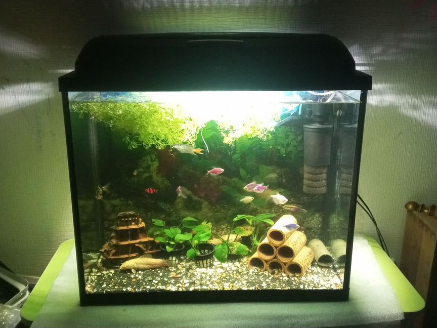 Аквариум aquael 70 л, комплект