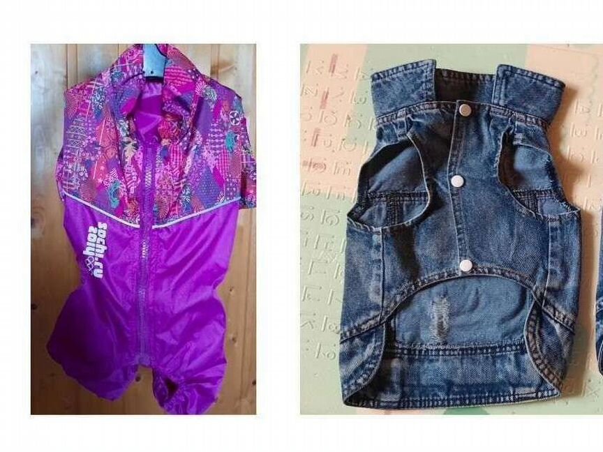 Одежда для собак