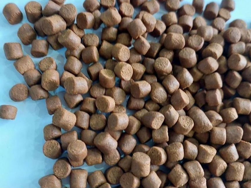 Корм для осетра