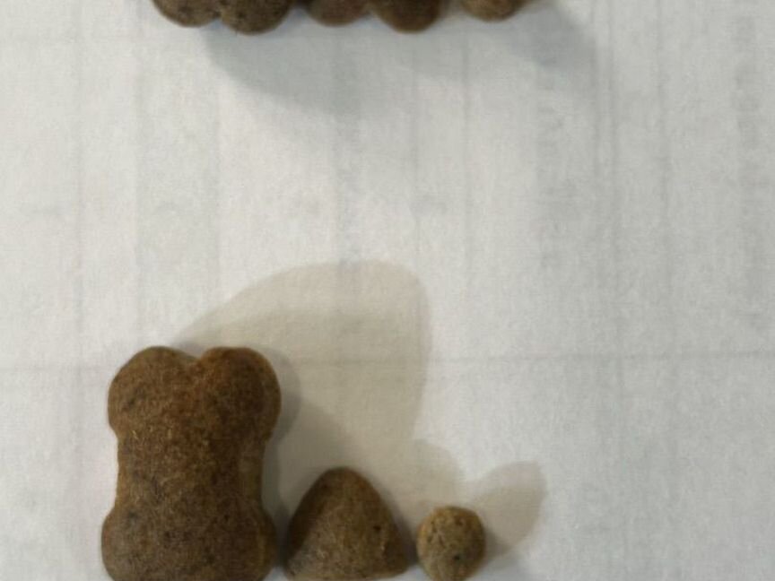 Корм для собак любых пород