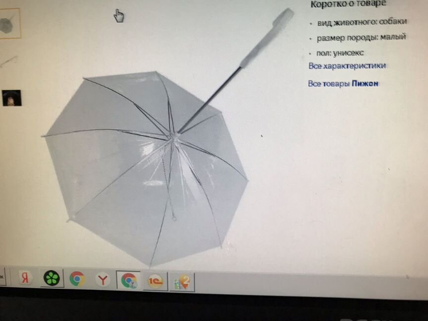 Зонт доя собак от дождя