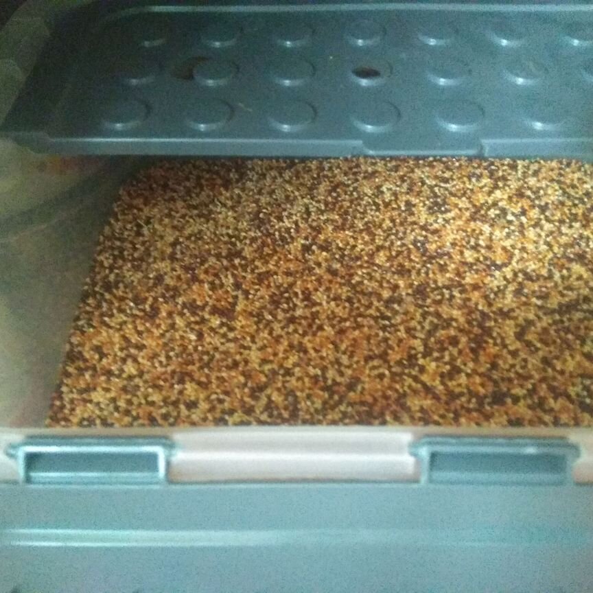 Просо для птиц