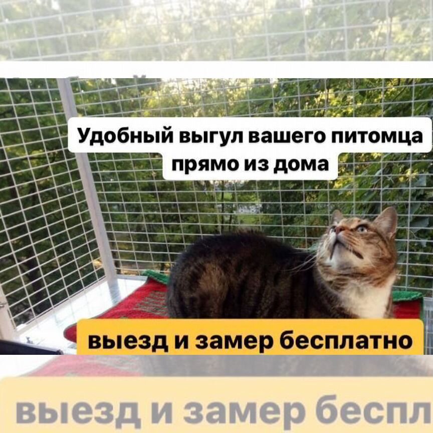 Балкончик для выгула кошки