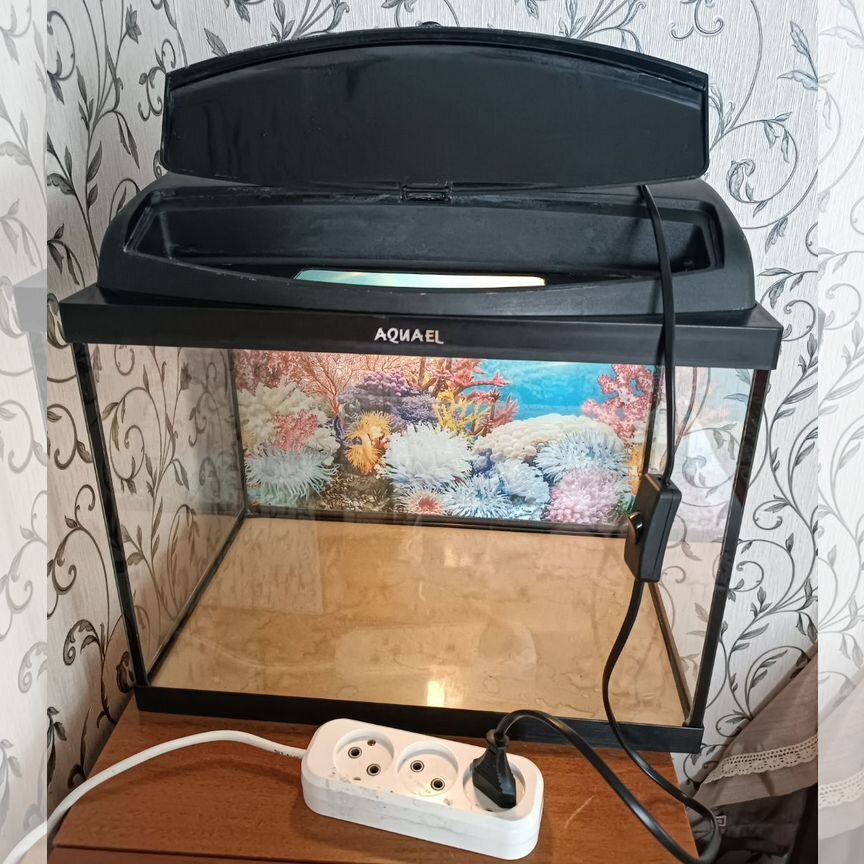 Аквариум терморегулятор сифон грунт