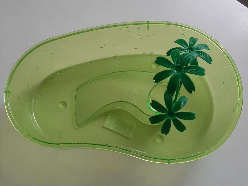 Террариум для маленькой черепахи