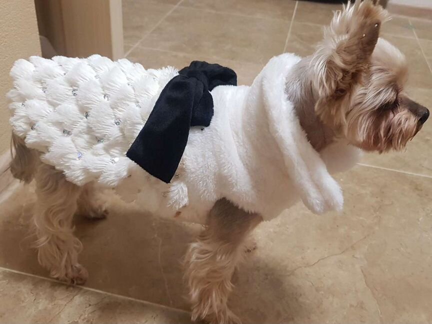 Шубка для собаки