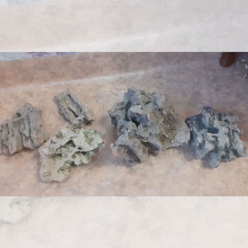 Песчанник в аквариум