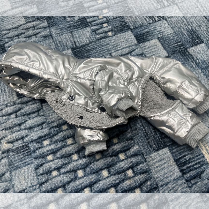 Одежда для маленьких собак