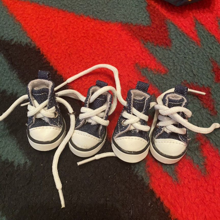 Кеды для собак