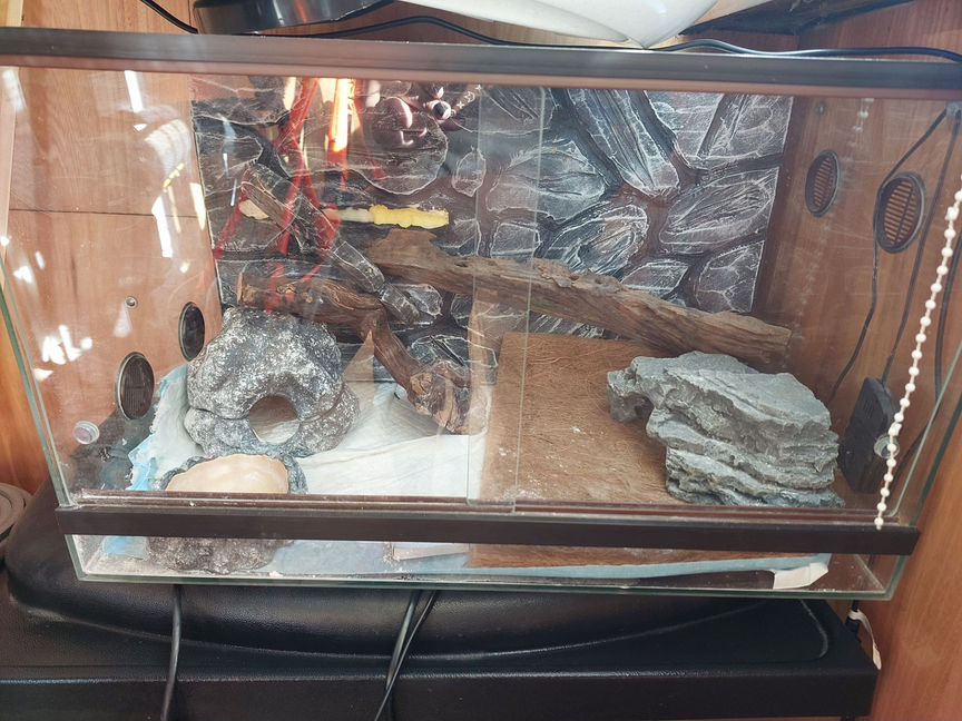 Террариум для рептилий бу