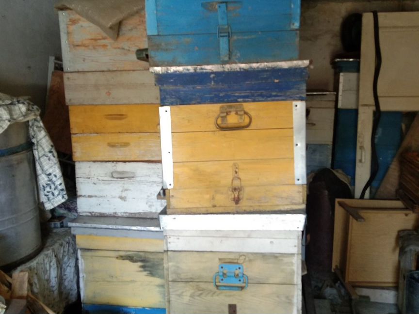 Продаю 12-тирамочные улики для пчел