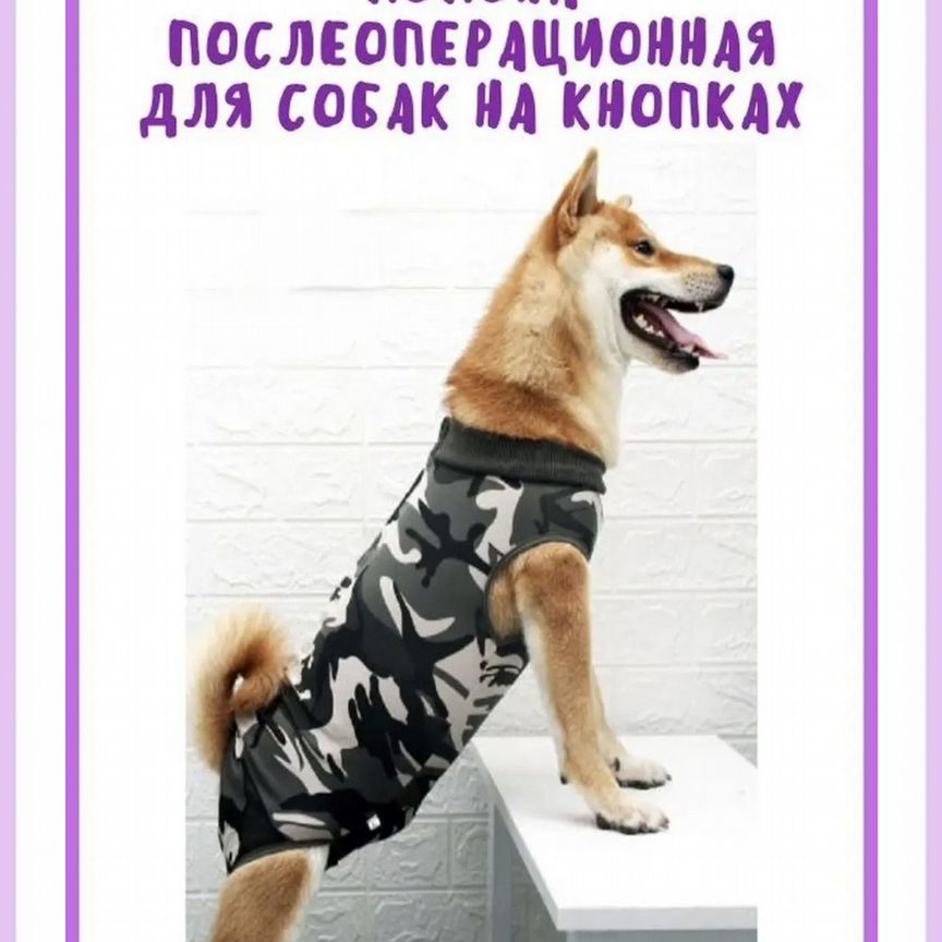 Попона для средней собаки