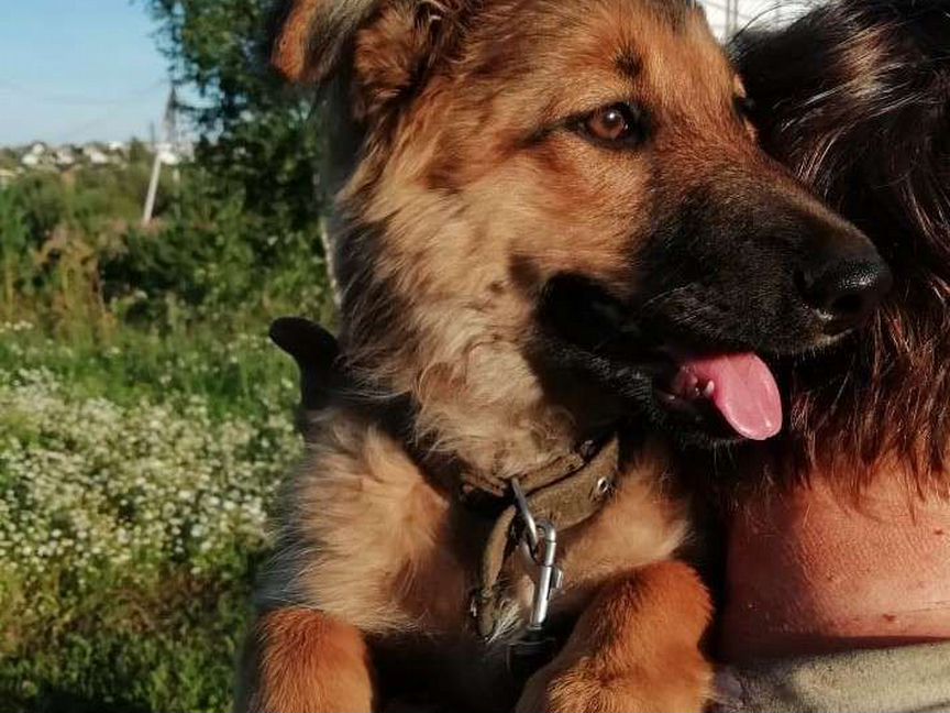 Добрая девчуля