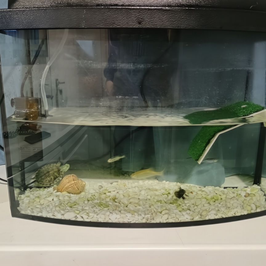 Аквариум 25 литров