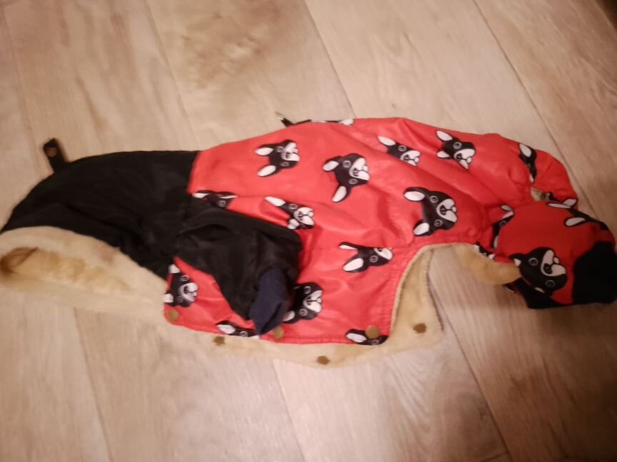 Одежда для маленьких пород собак