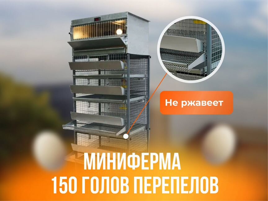 Мини-ферма для перепелов, кур, несушек на 150 голо