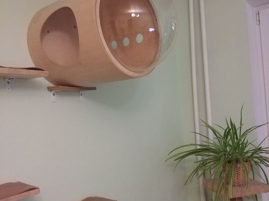 Космический домик для котиков