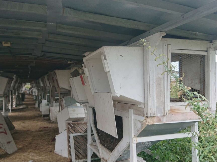 Кроличьи клетки