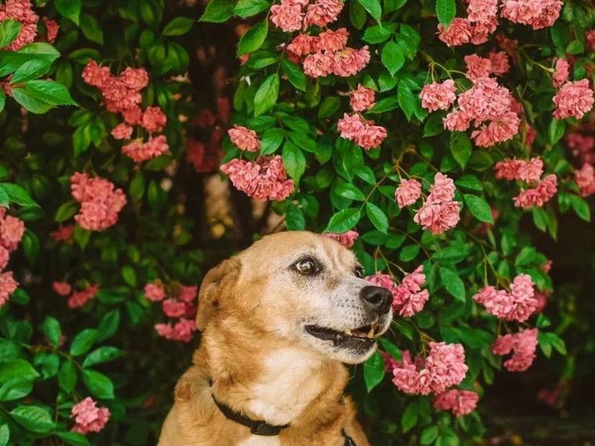 Малышка Соня ищет семью