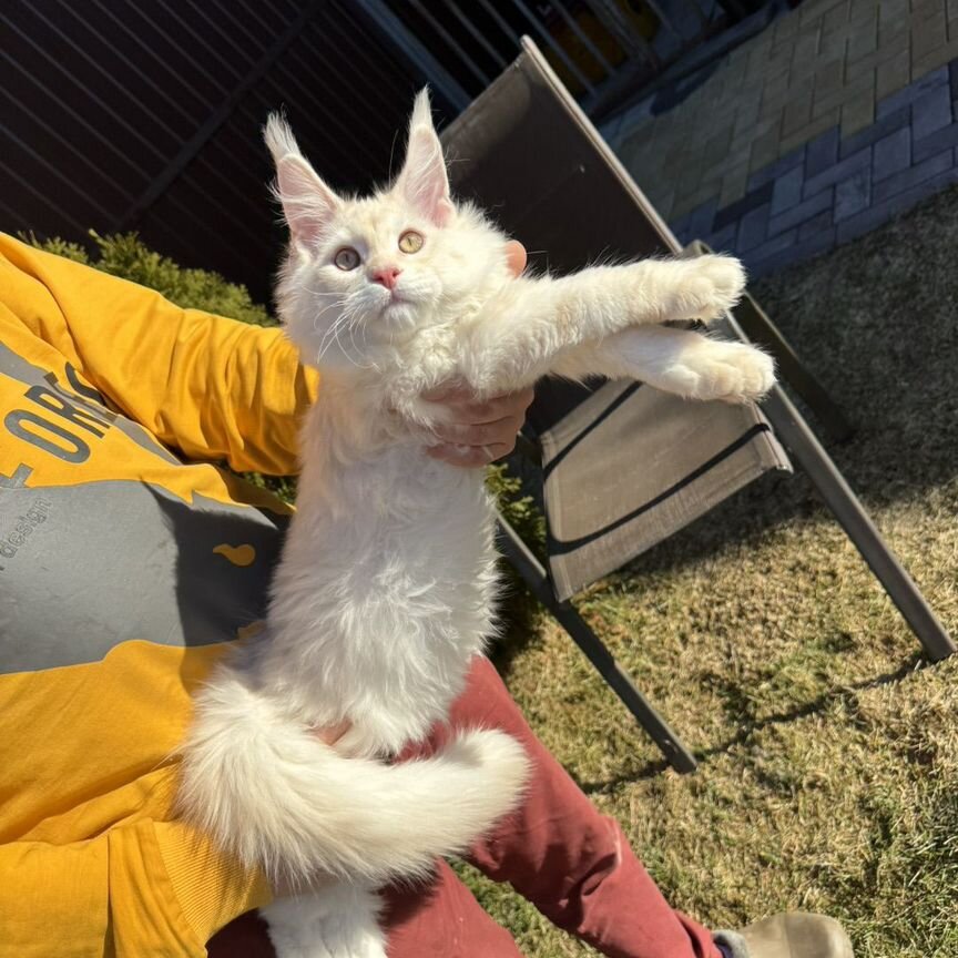 Облако счастья