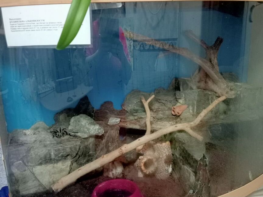 Продам террариум для ваших питомцев