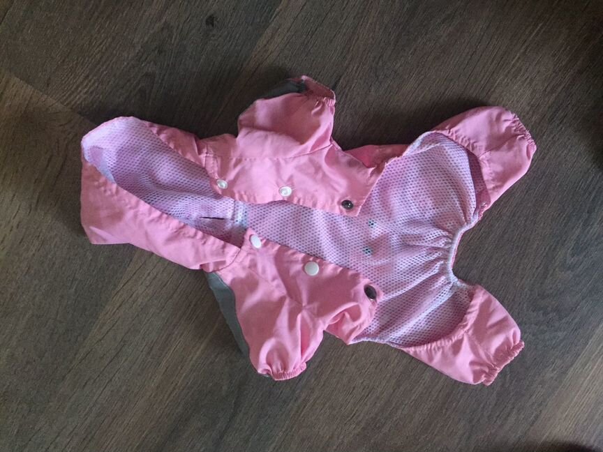 Одежда для собак, щётка зубная