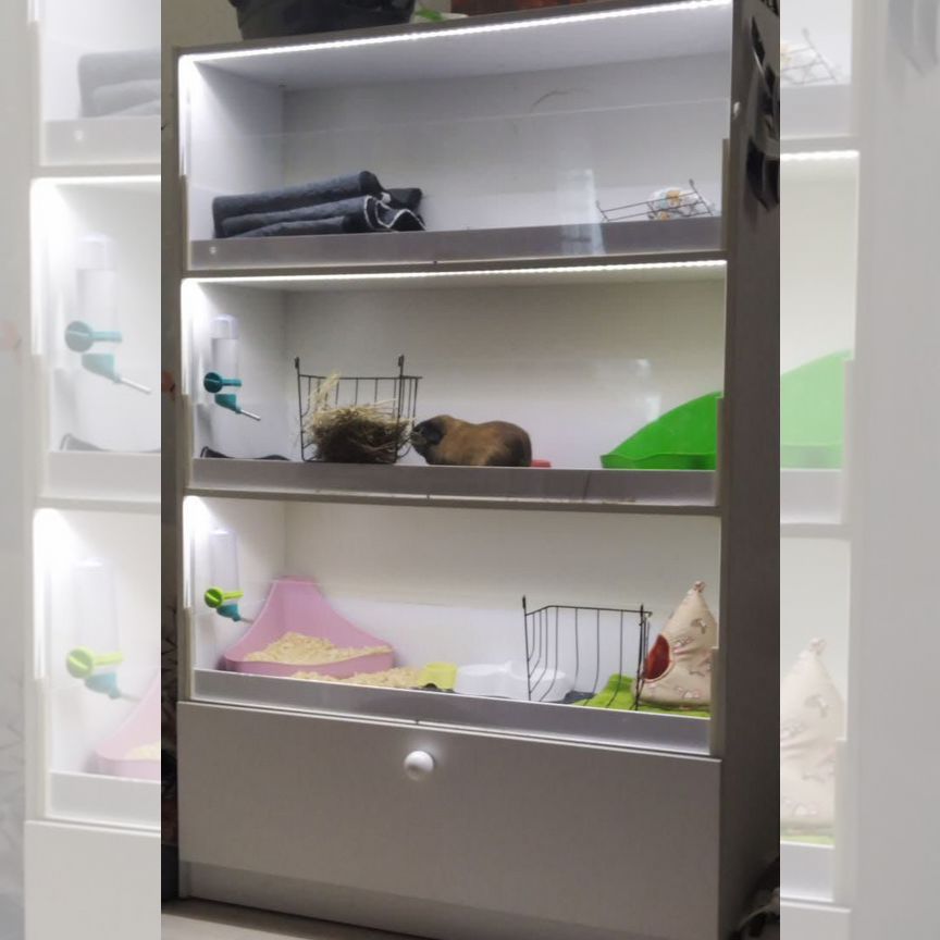 Стеллаж для грызунов