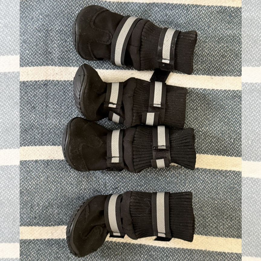 Ботинки для маленьких собак