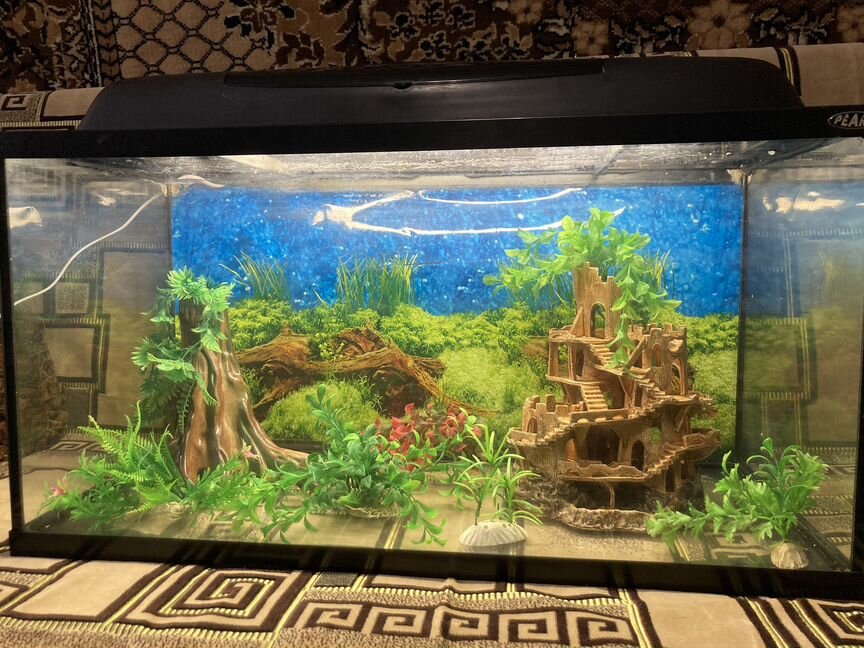 Аквариум 80 литров полный комплект