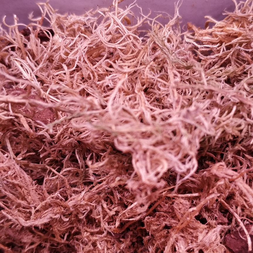 Наполнитель для террариумов