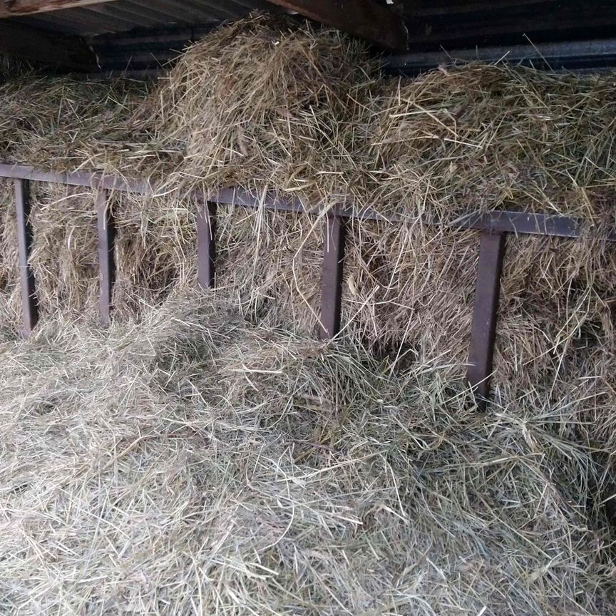 Сено бесплатно