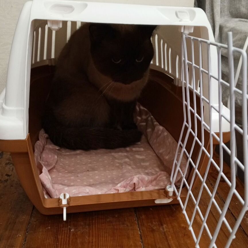 Переноска для кошек и собак