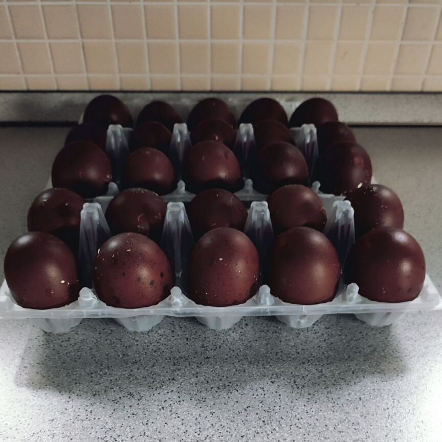 Инкубационное яйцо маран черно медный