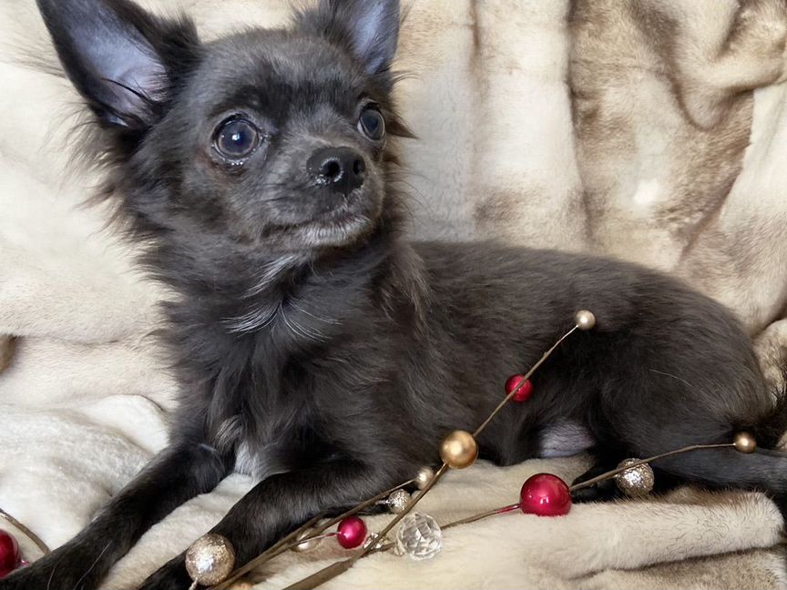 Весёлый малыш Гарри Поттер