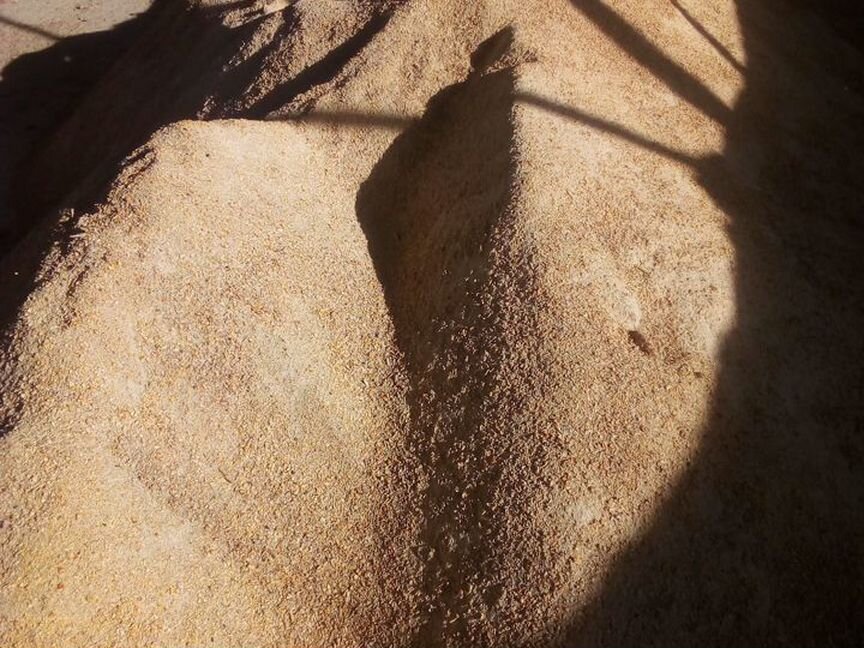 Отходы кукурузы(мучка)