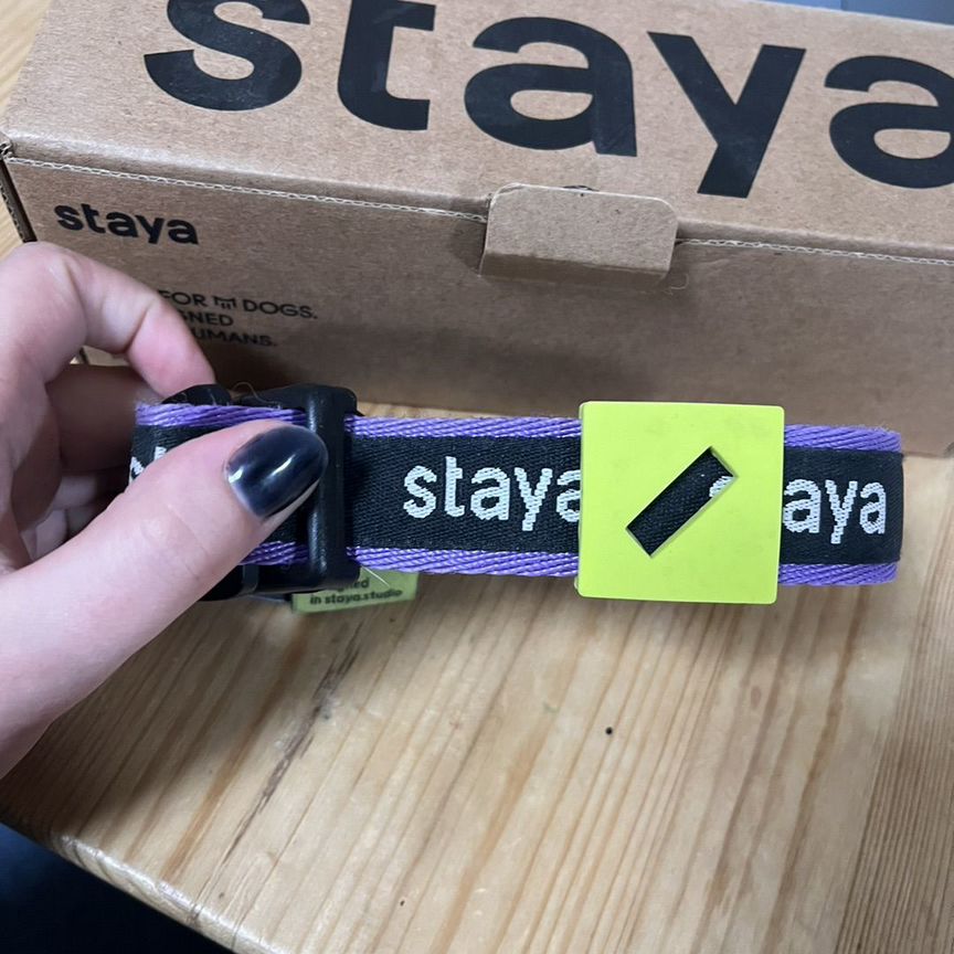 Staya ошейник М
