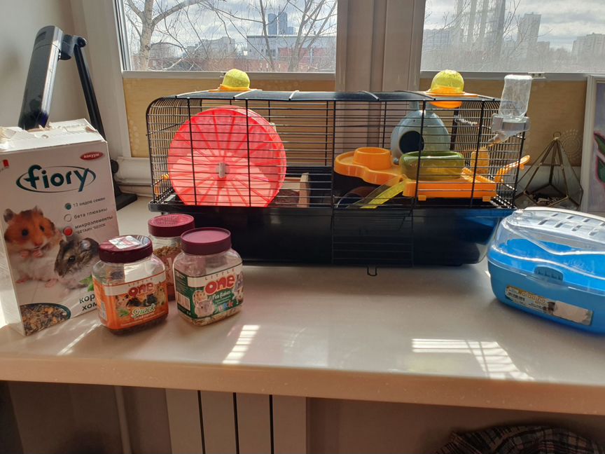 Клетка для хомяка и полный набор для содержания