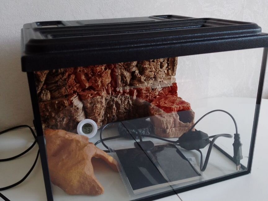 Террариум/аквариум 25 литров