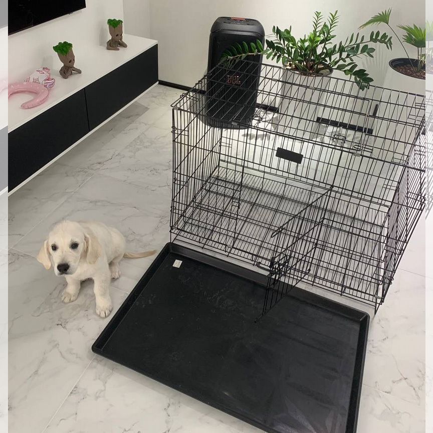 Клетка для собак