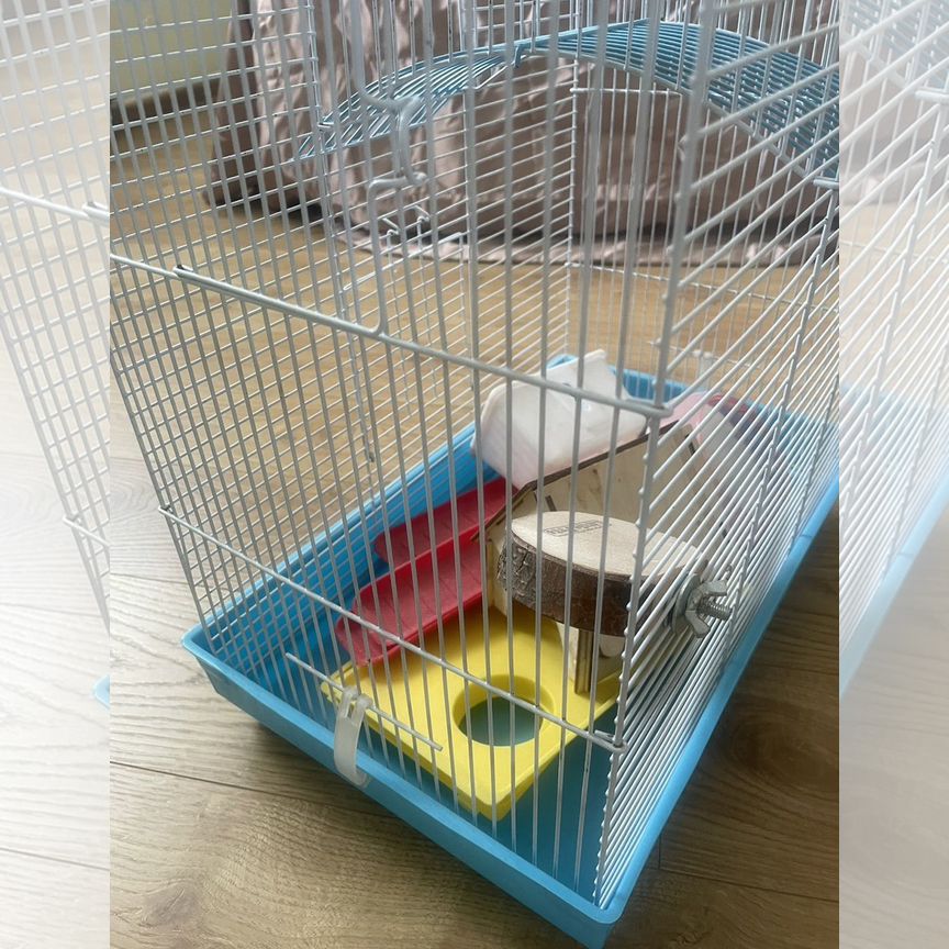 Клетка с наполнением