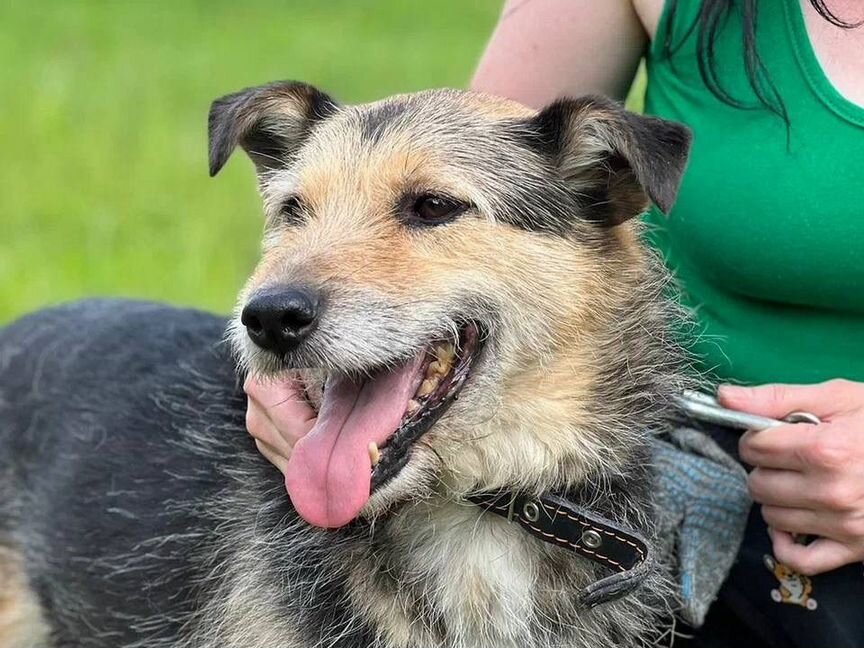 Бредли ищет дом