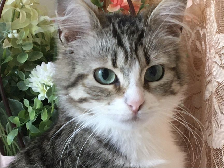 Она мечтает о доме