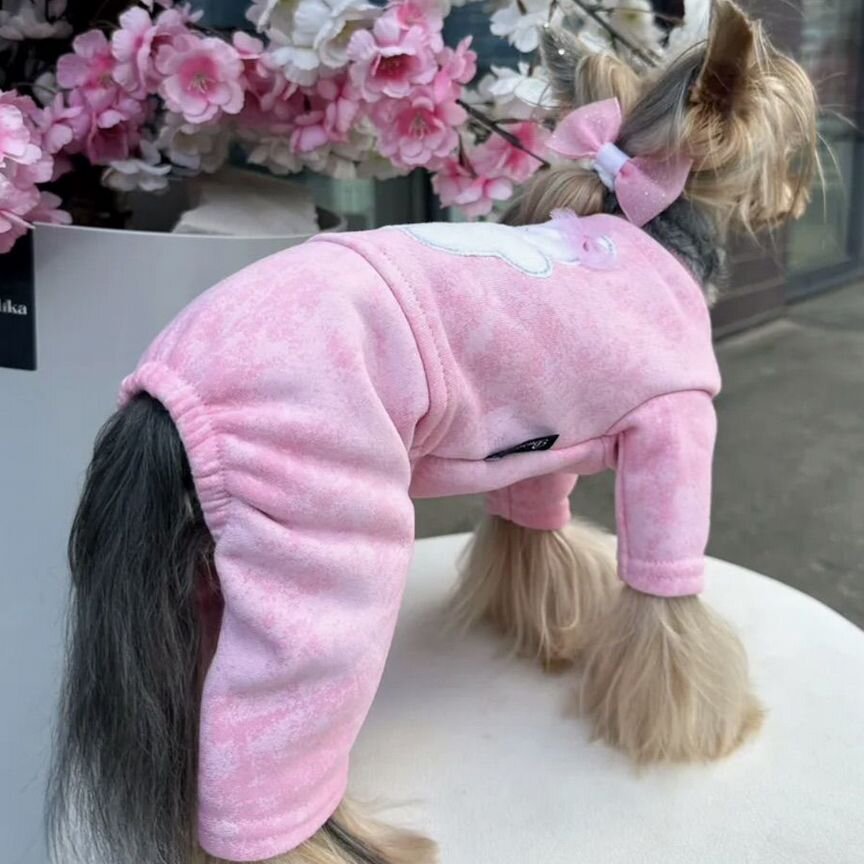 Спортивный костюм для маленькой собаки