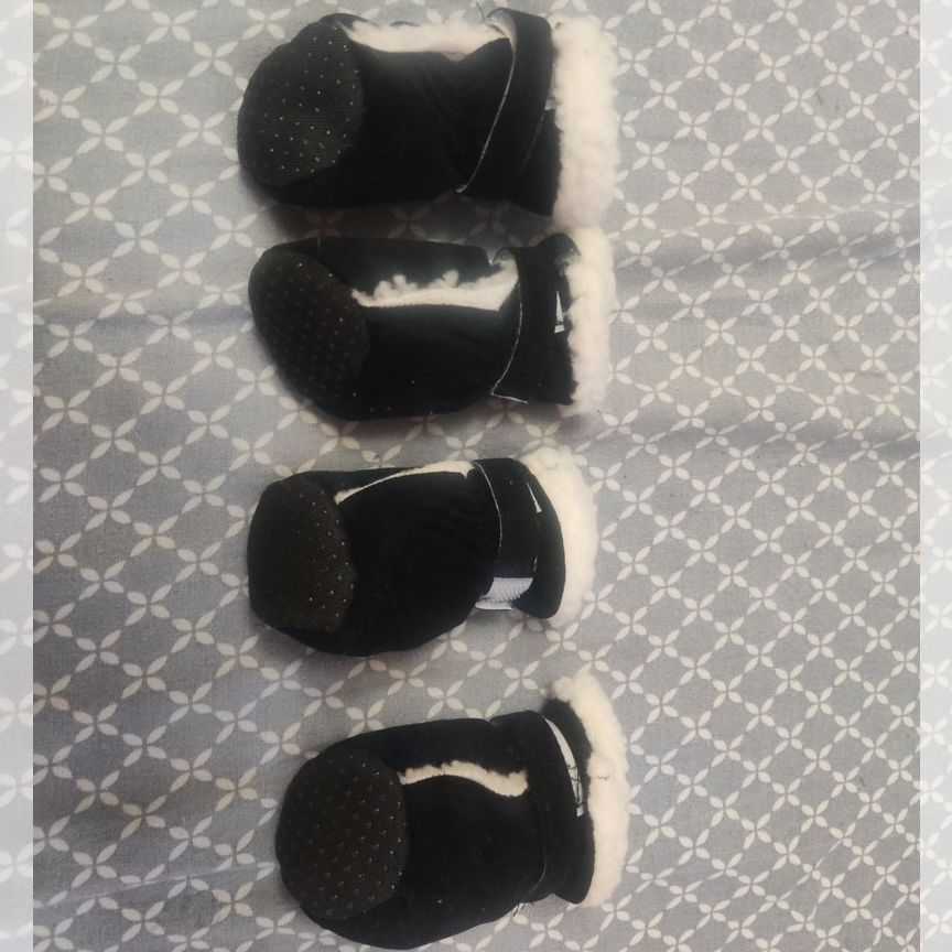 Обувь для собак мелких пород зимняя