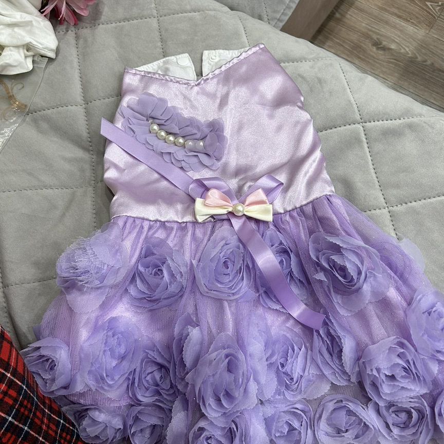 Платья для собак