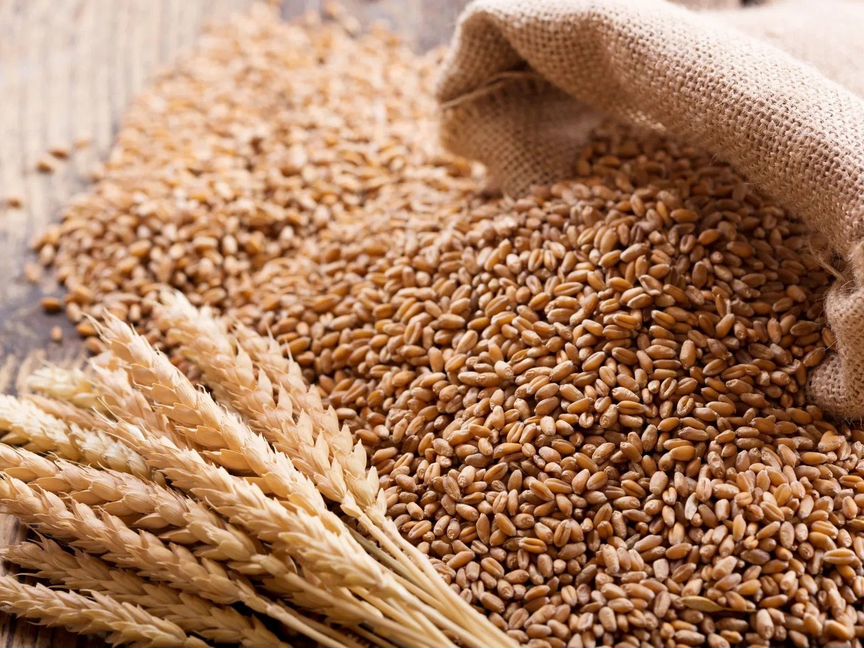 Зерно пшеница на развес