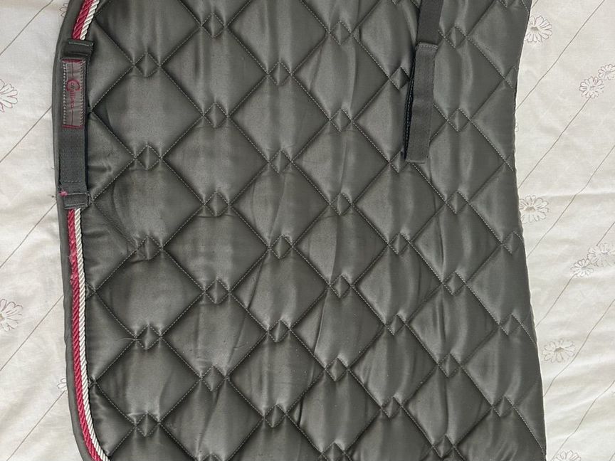 Вальтрап и бинты для лошади