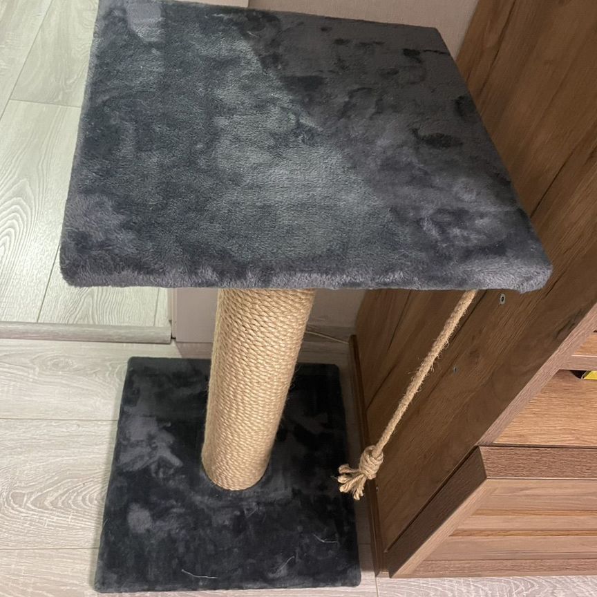 Когтеточка