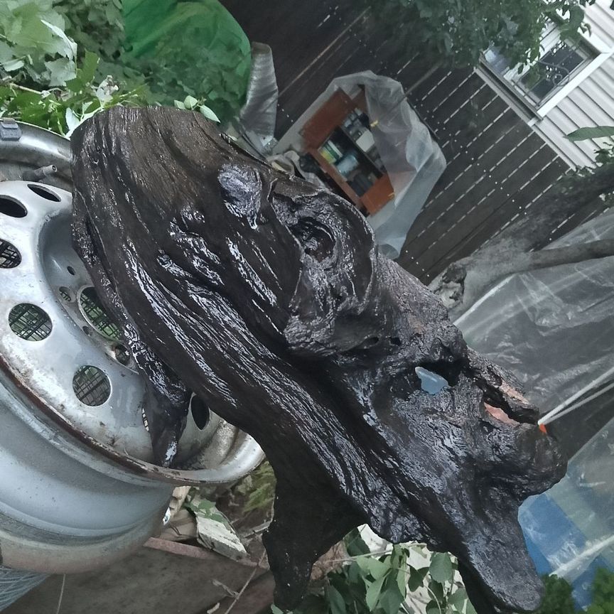 Коряга в аквариум большая